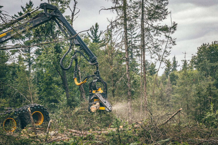 Michigan’s forest products industry shows value spike | News, Sports ...